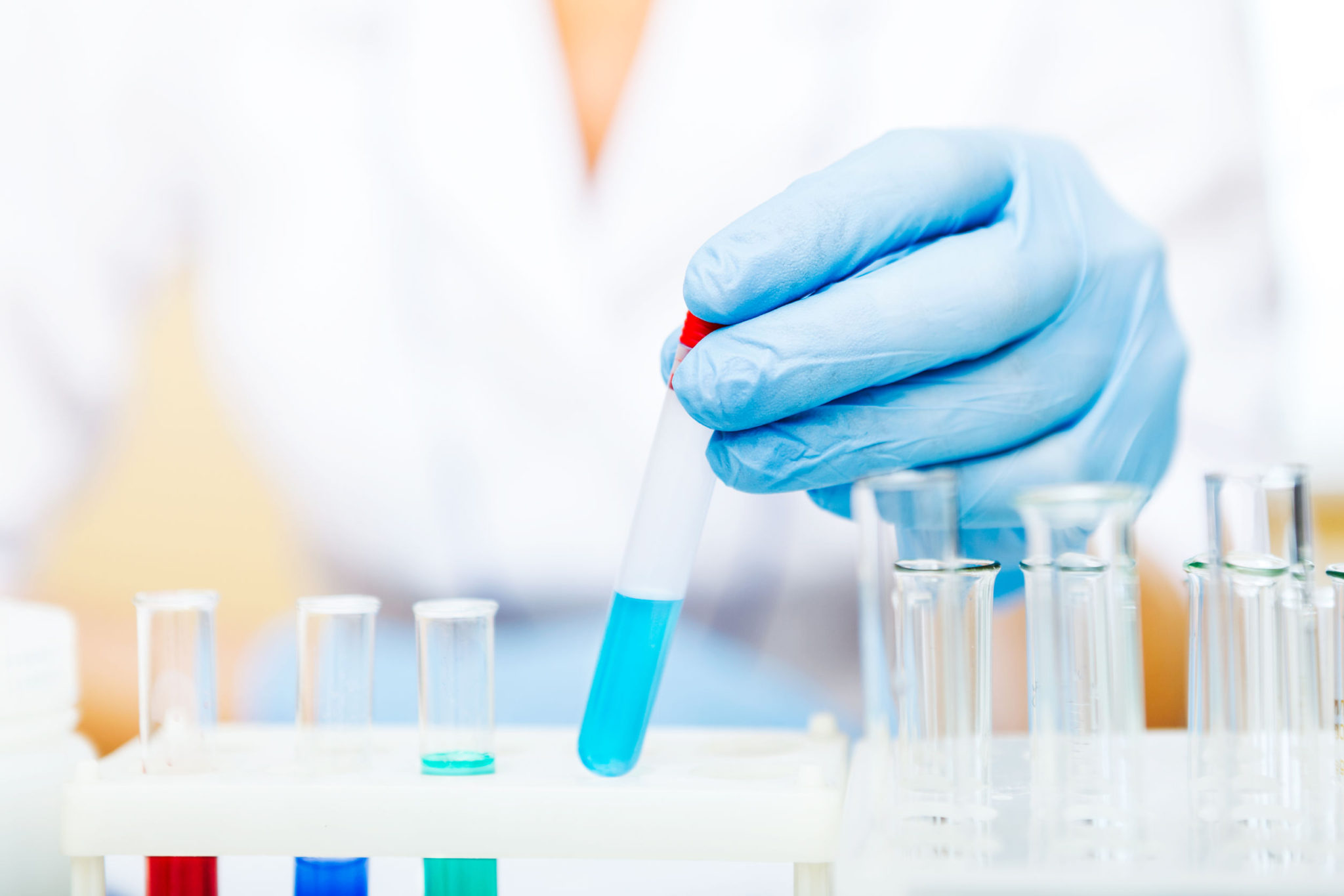 Functional Nutritional Profile - Glenville Nutrition